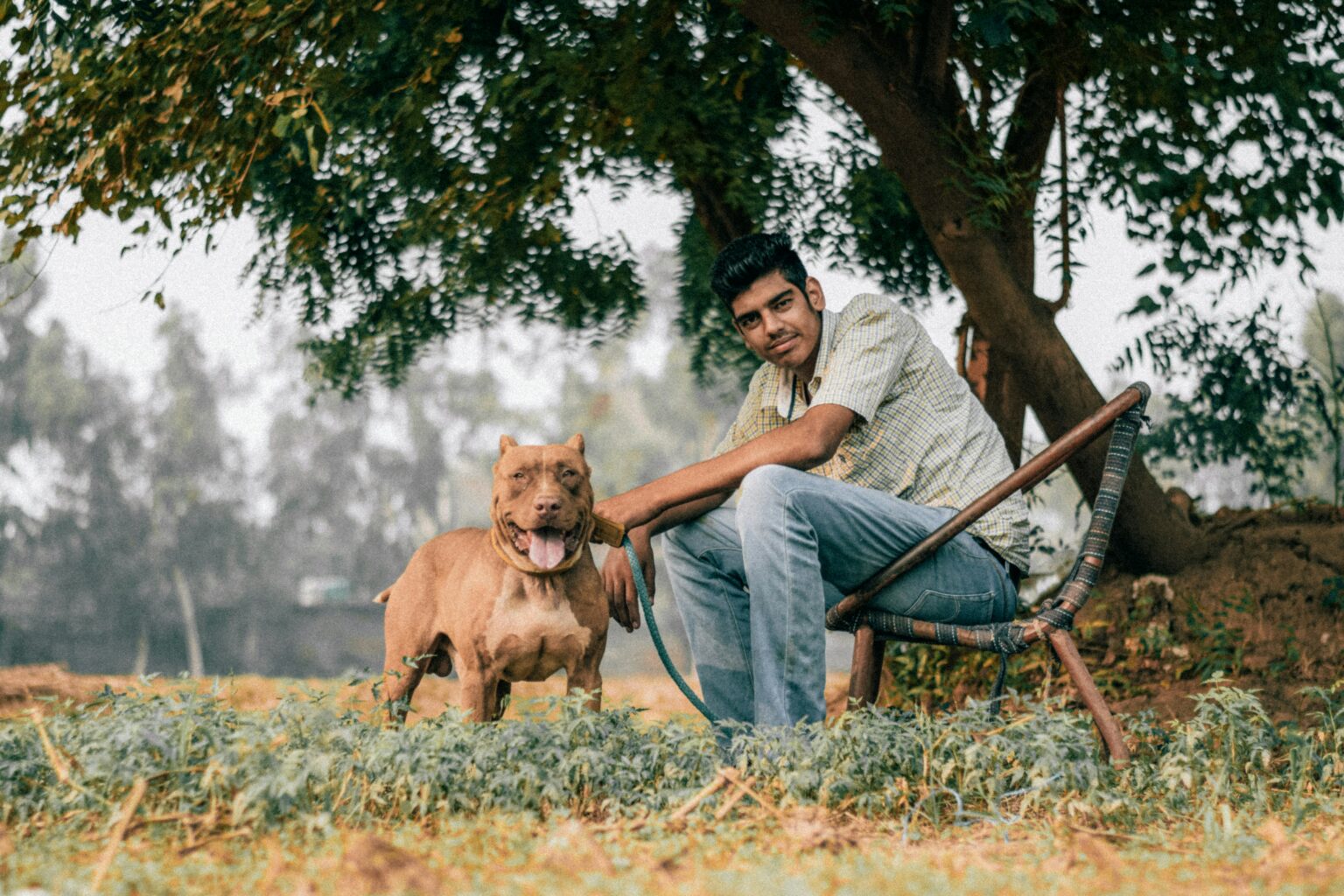 10 Reasons Pitbulls Make Great Therapy Dogs