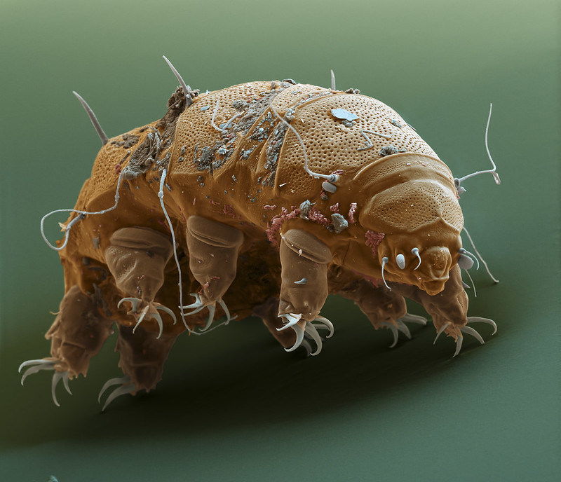 20 Strange Facts About Animals