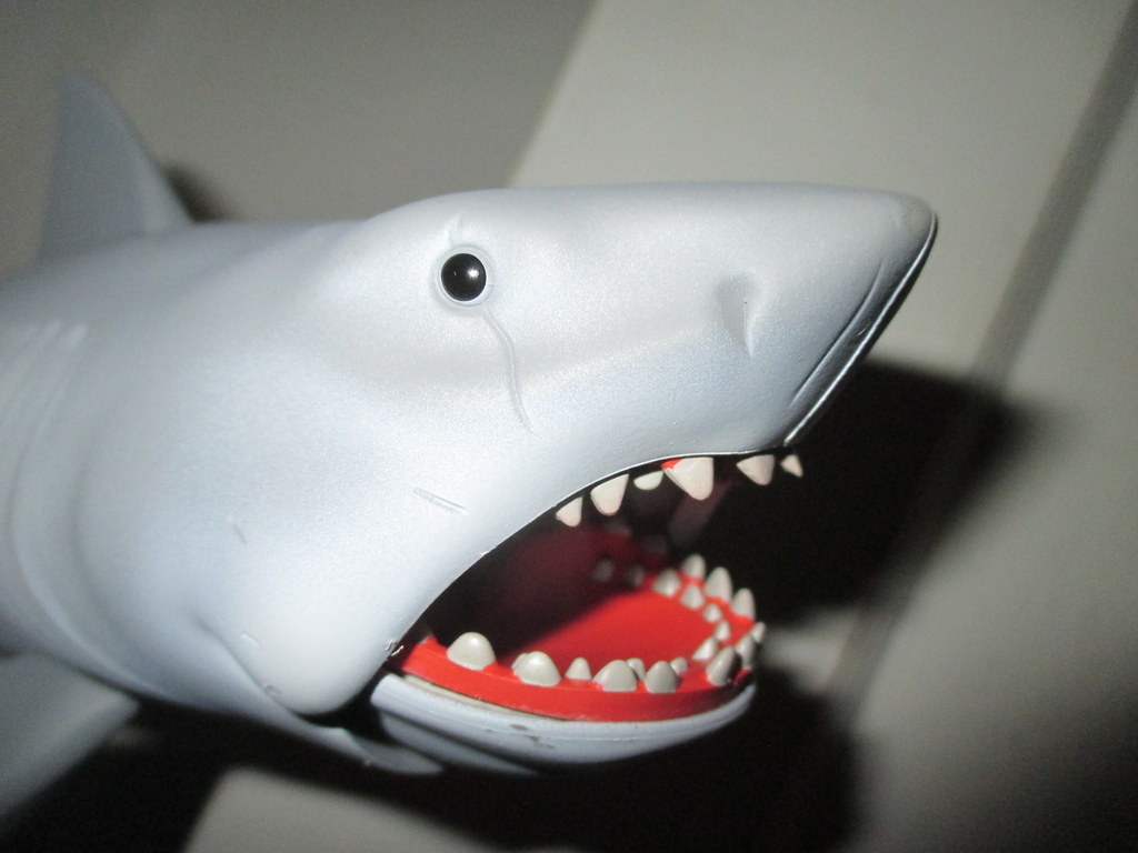 15 Facts About The Movie Jaws