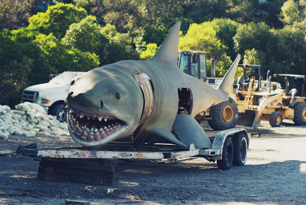 15 Facts About The Movie Jaws