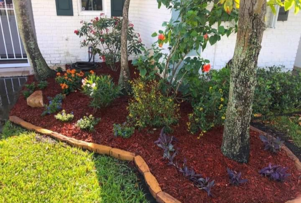 15 Common Mulching Errors That Could Be Damaging Your Garden