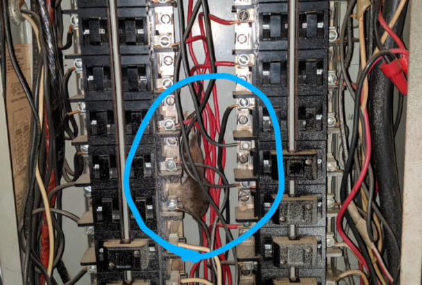 15 National Electric Code Violations that Most People Commit