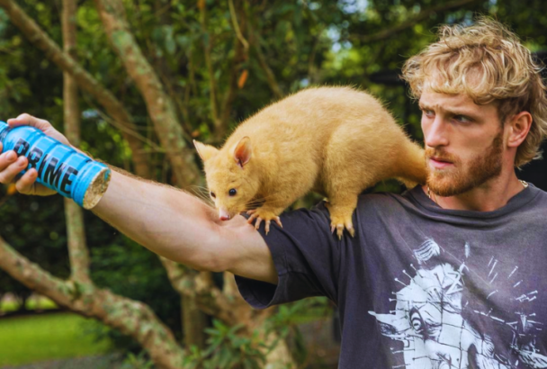 15 Epic Influencer Fails