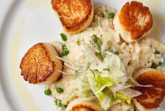 15 Restaurant Chains That Serve the Best Scallops