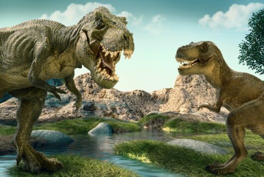 Godzilla Was Inspired By These 15 Animals