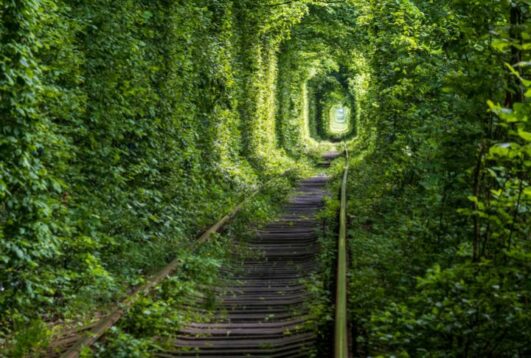 15 Spectacular Tunnels Around the World