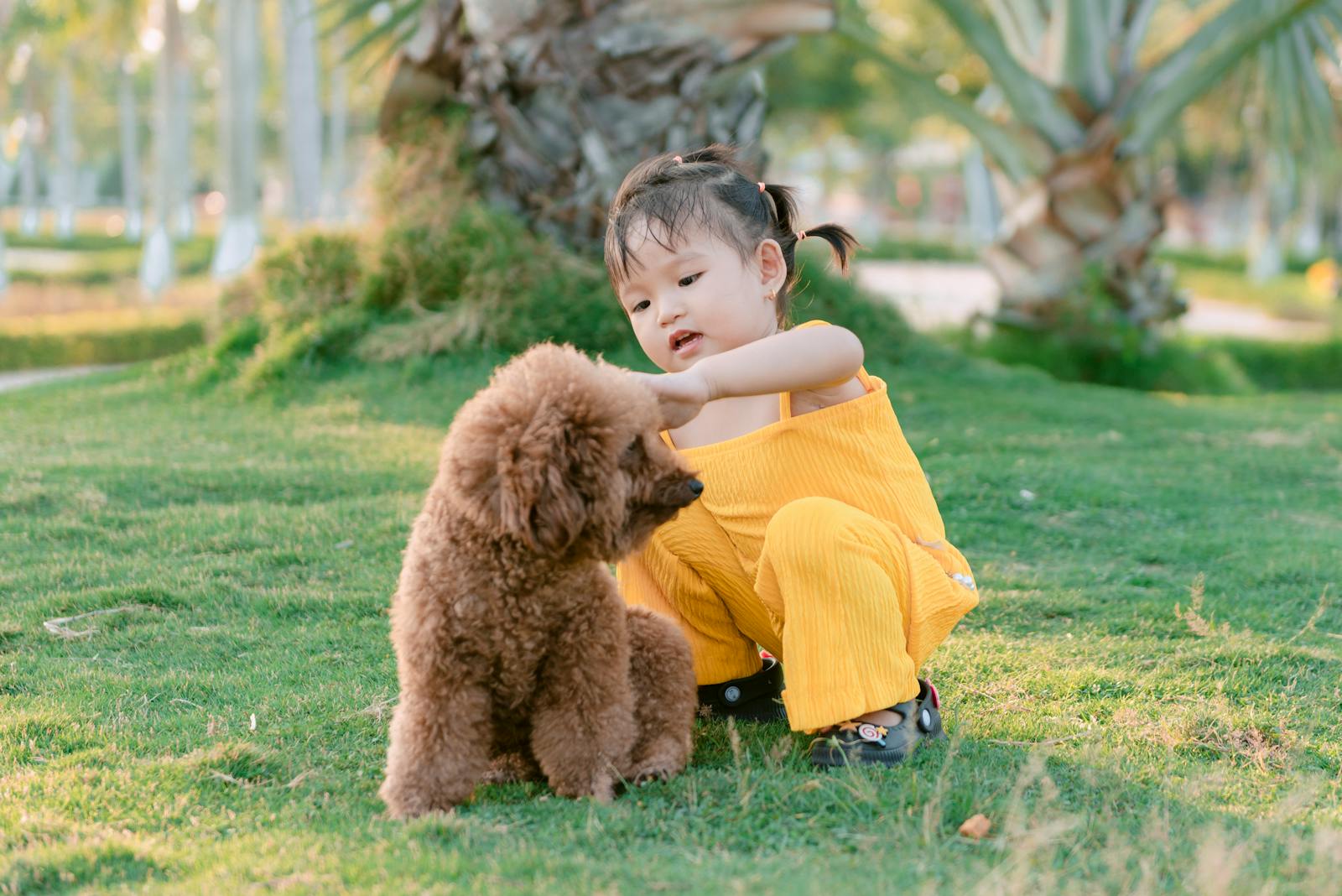 The 10 Best Dog Breeds for People with Autism