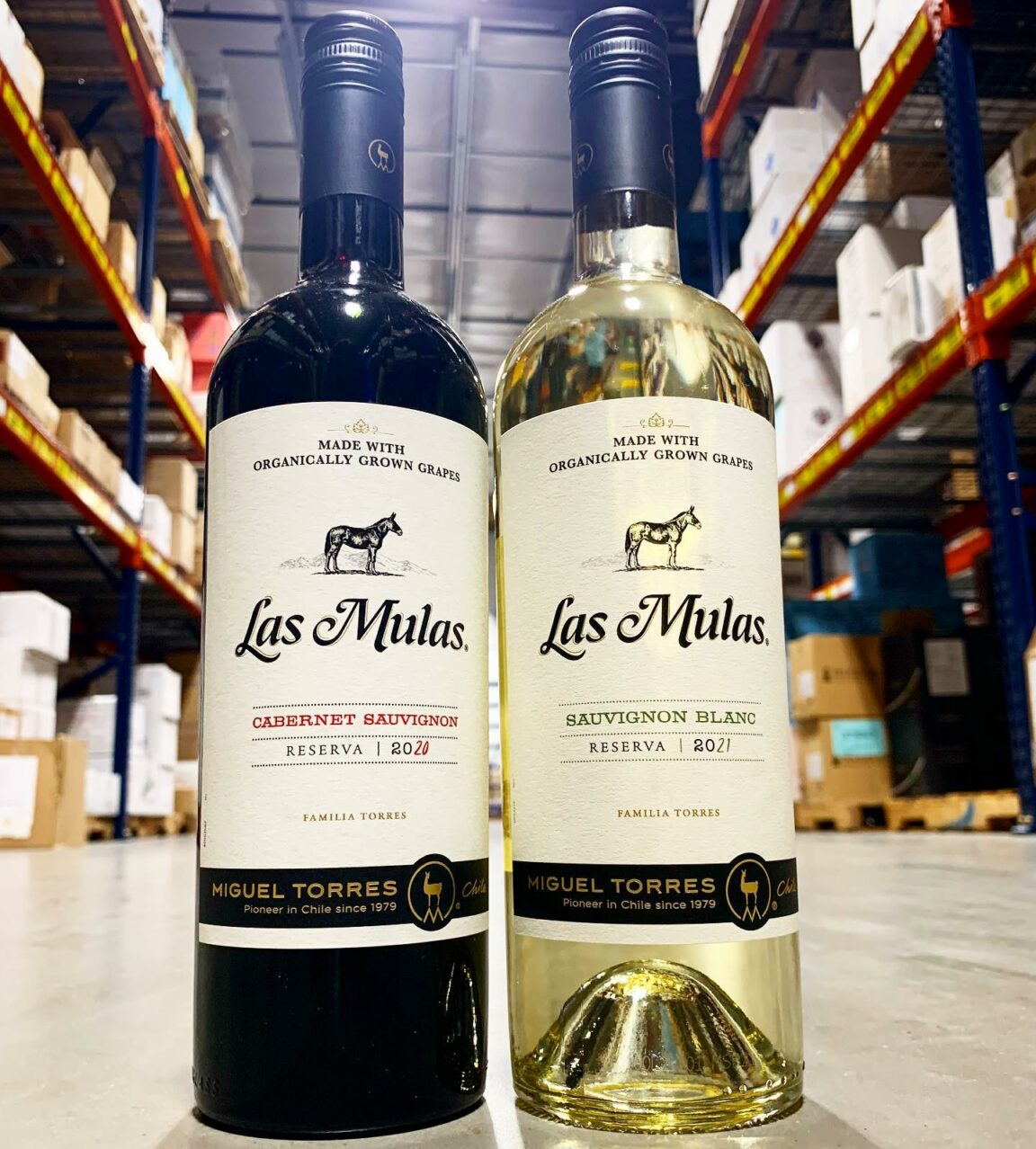 15 Affordable Red Wine That Taste Expensive