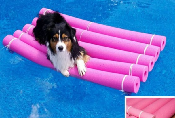 15 Innovative Ways To Use Pool Noodles