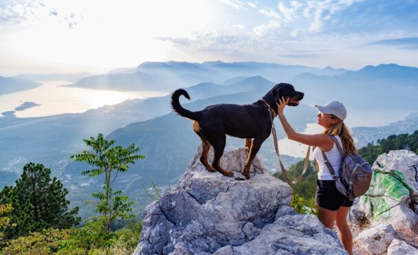 A Guide To The Best Dog Breeds For Hiking – LZRNN