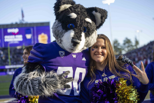 25 Most Popular Animals Used as Mascots