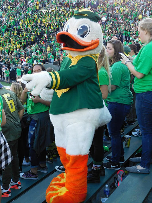 25 Most Popular Animals Used as Mascots