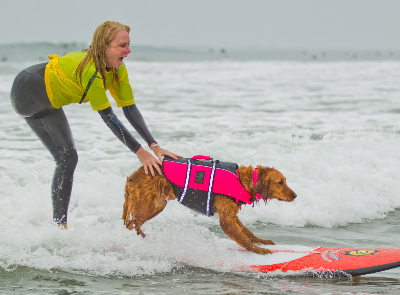 15 of The Most Obscure Sports in The World