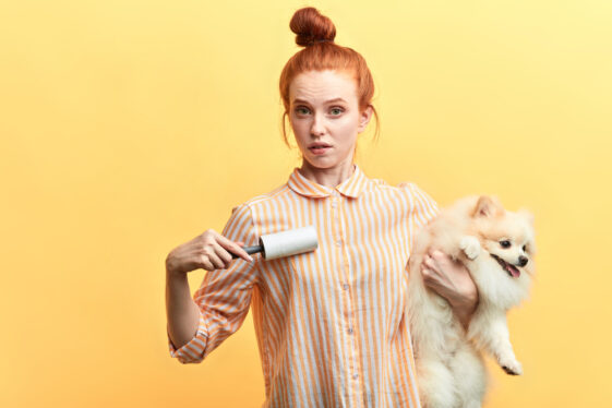 20 Worst Shedding Dogs