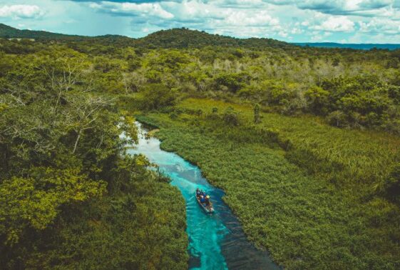 10 Jaw-Dropping Facts About the World's Largest Jaguar