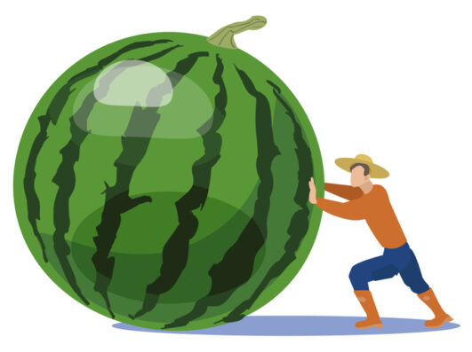 15 of The Largest Fruits In The World