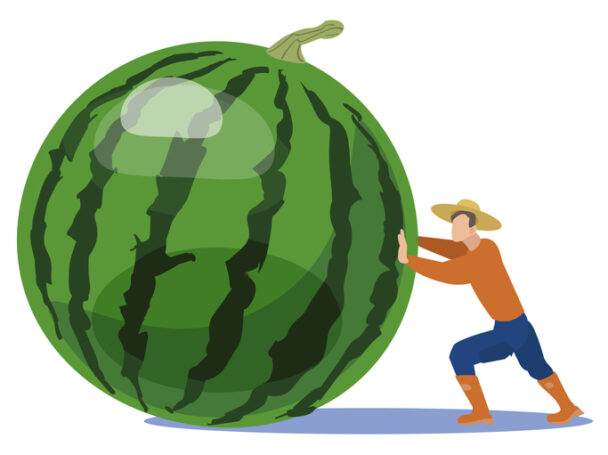15 of The Largest Fruits In The World