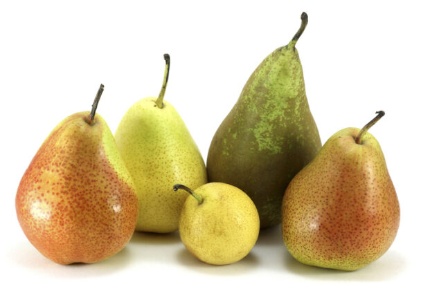 15 of The Largest Fruits In The World