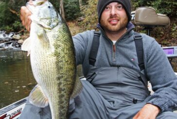 Official State Fish Of 30 American States